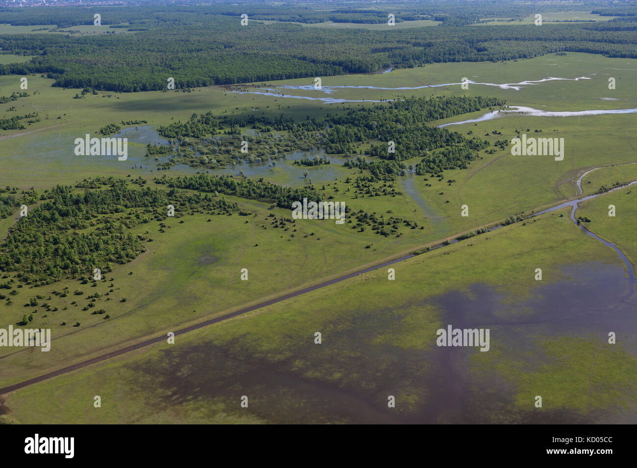 Aerial view of the floodplain on the Odra River with the forest and ...