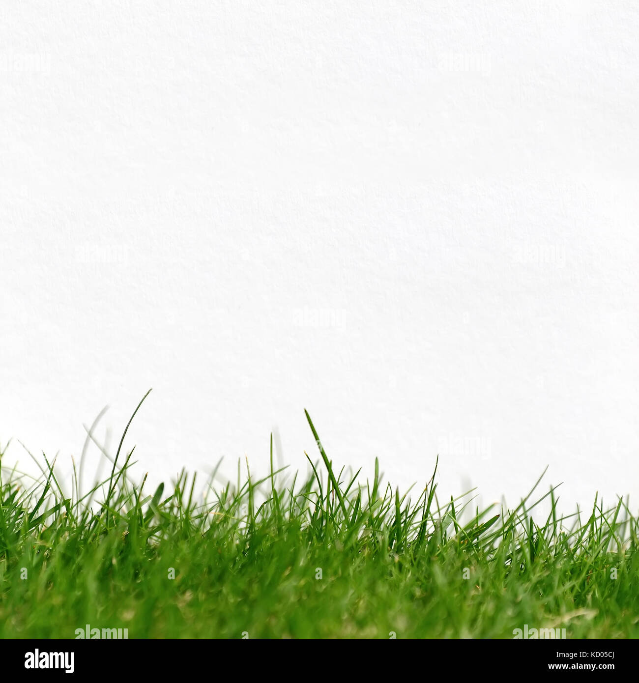 Office green grass lawn hi-res stock photography and images - Alamy