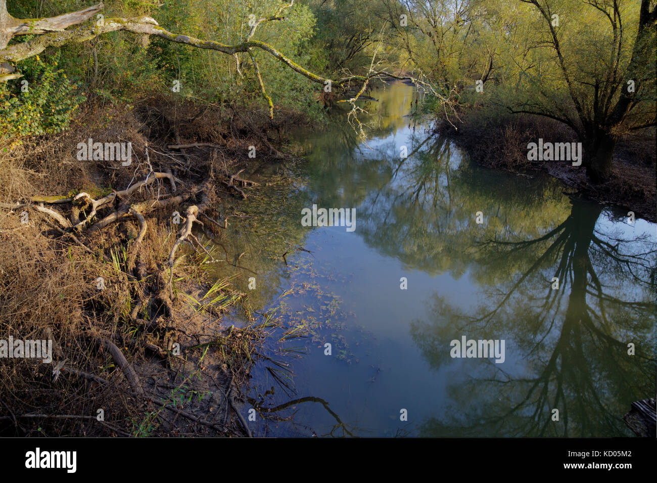 Odra river croatia hi-res stock photography and images - Alamy