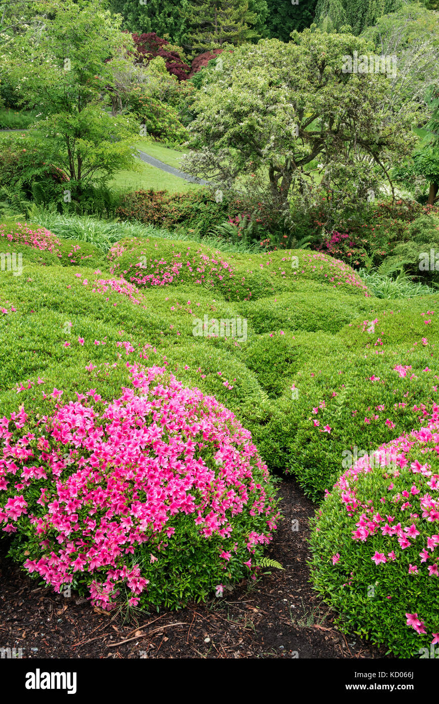 Japanese Garden, Royal Roads University, Victoria, BC Stock Photo - Alamy