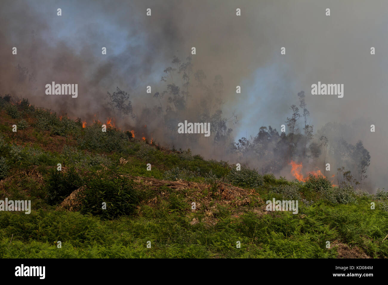Hot fire spain hi-res stock photography and images - Alamy