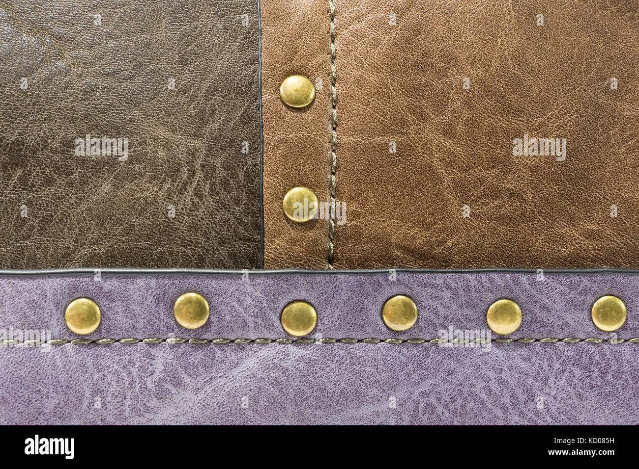 texture of colorful skin, still life photography, Studio Stock Photo ...