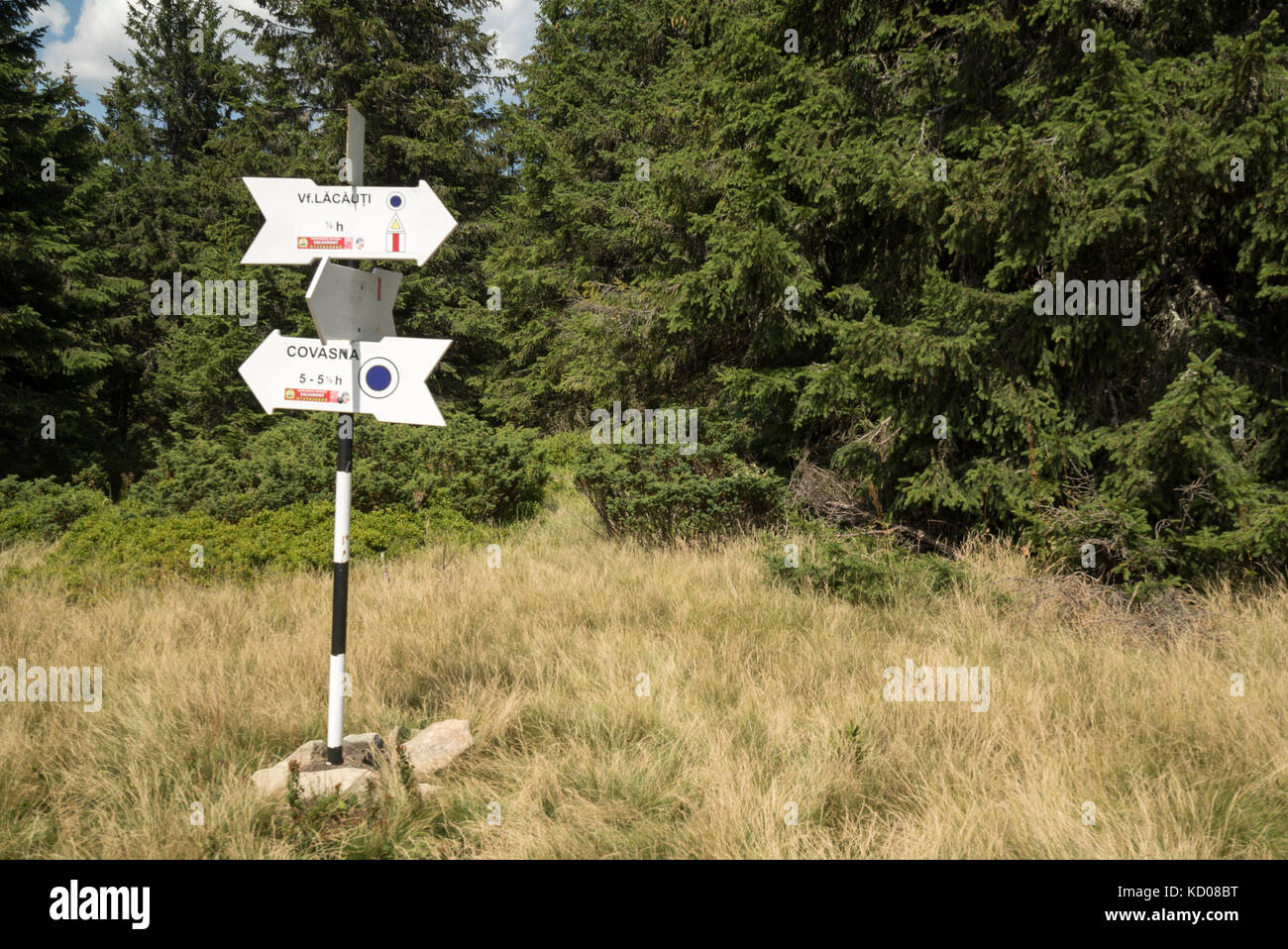 Romania, Lacauti and Goru Summits, August 19-20, 2017: Group of ...