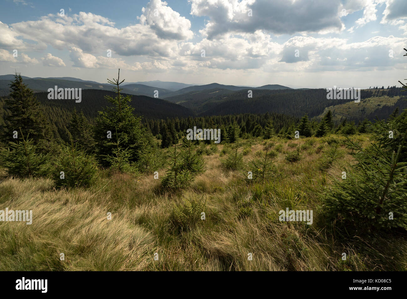 Romania, Lacauti and Goru Summits, August 19-20, 2017: Group of ...