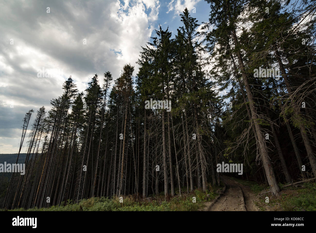 Group mountain lovers hikes hi-res stock photography and images - Alamy