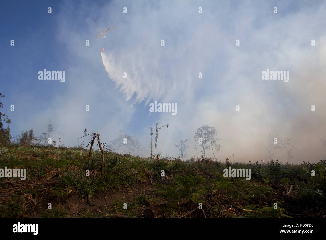 Aerial fire fighting hi-res stock photography and images - Alamy