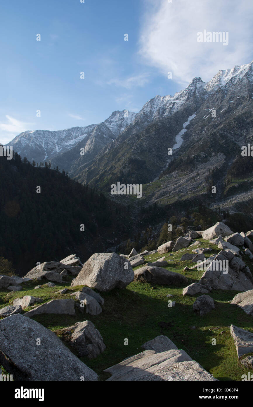 Trees punjab india hi-res stock photography and images - Alamy