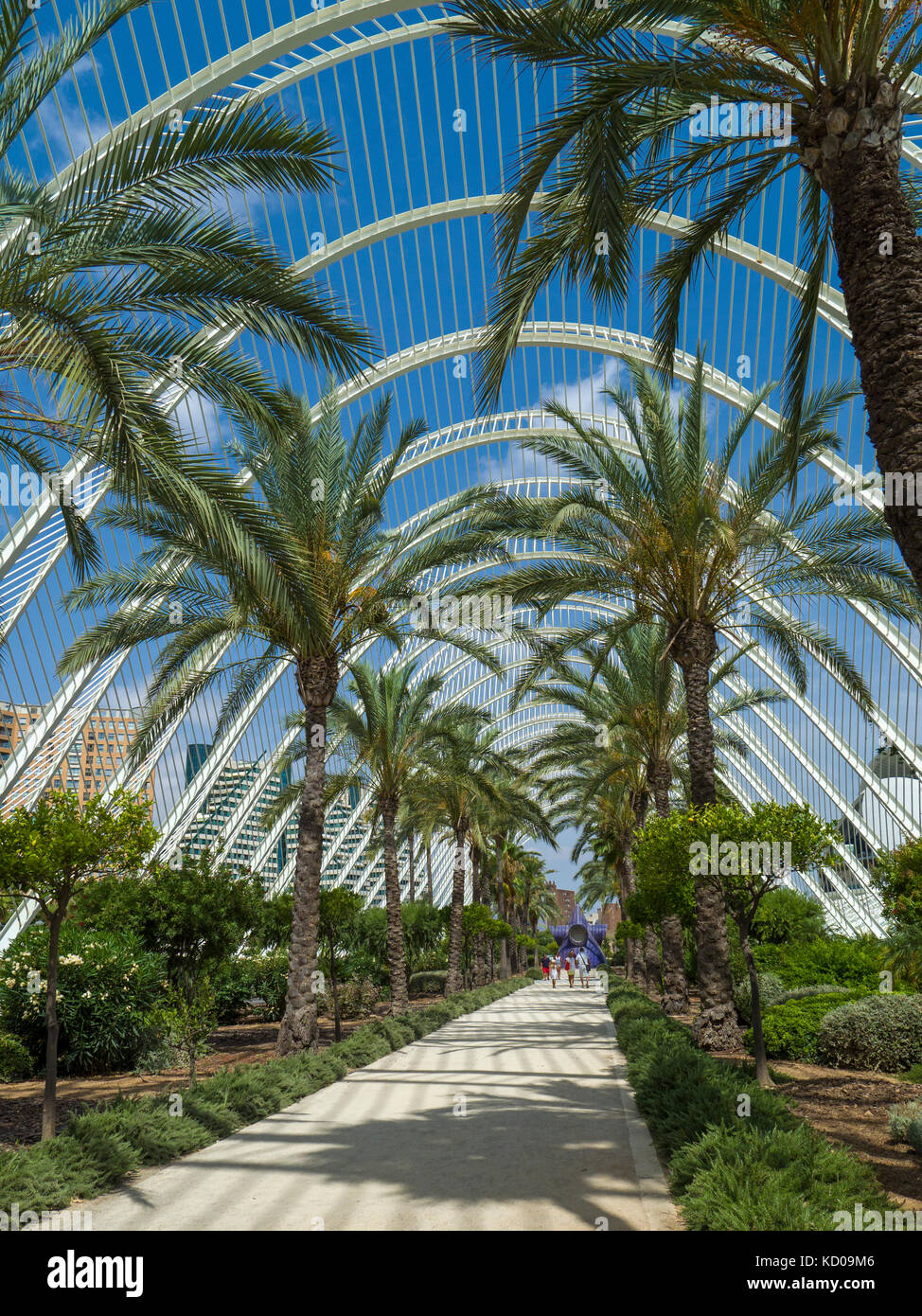 The Umbracle, open-air garden part of the City of Arts and Sciences ...