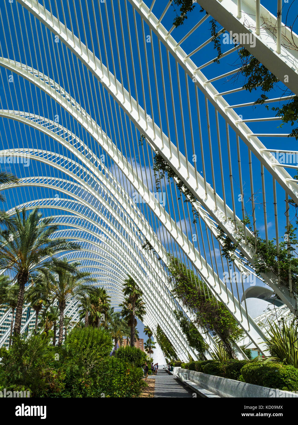 The Umbracle, open-air garden part of the City of Arts and Sciences ...