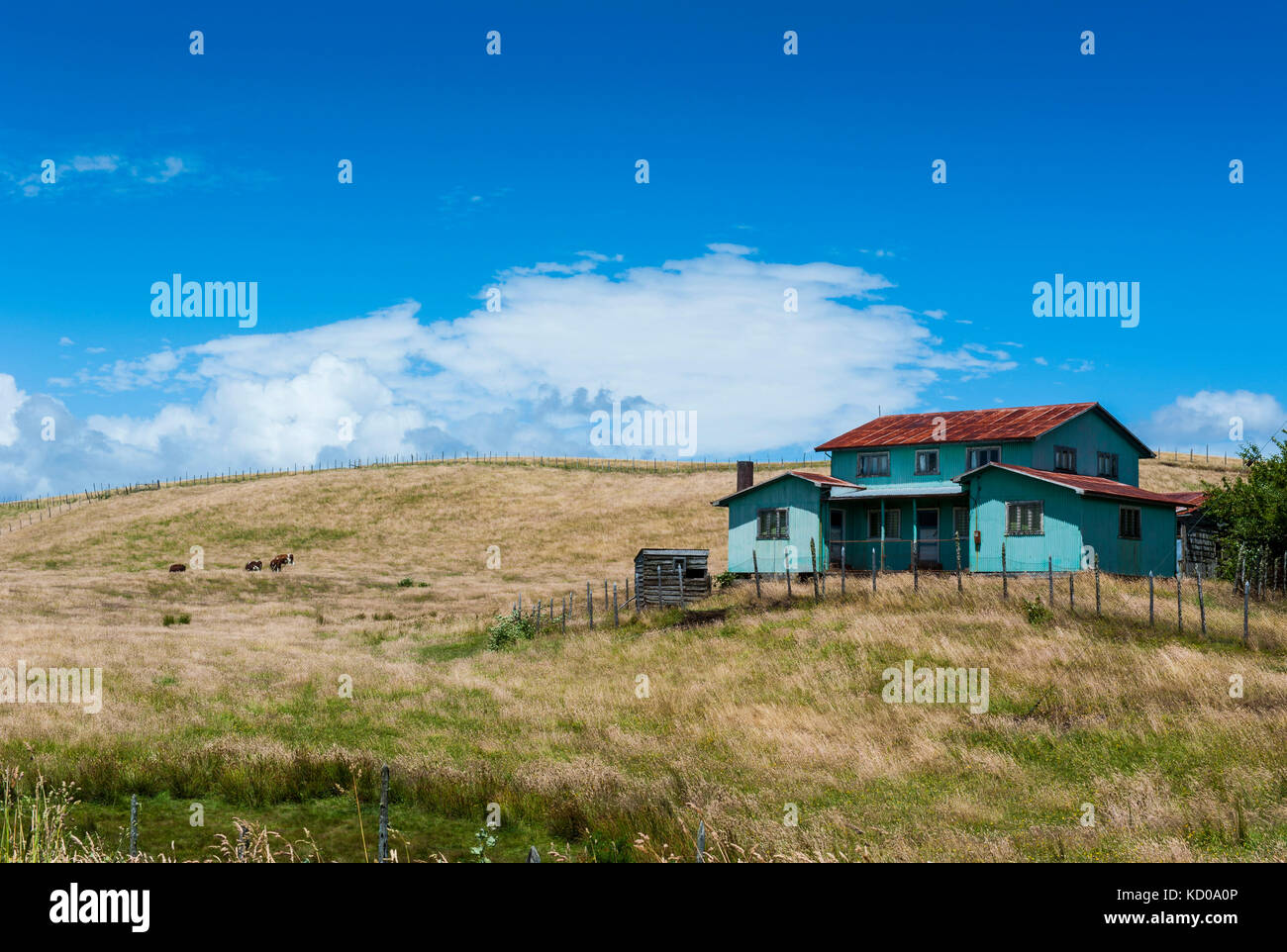 Lonely farmhouse in Chiloe, Chile Stock Photo - Alamy