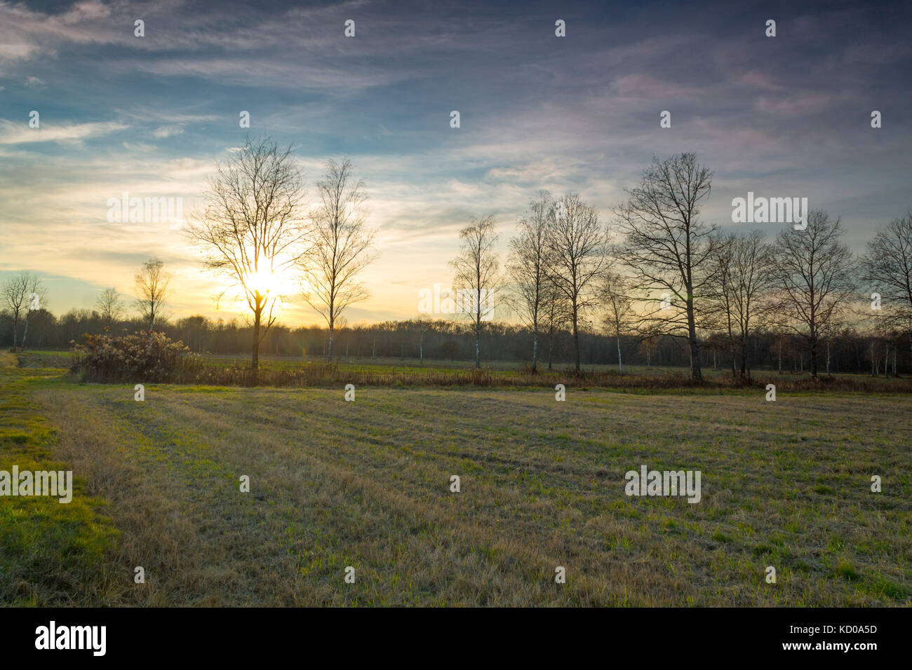 Beautiful colorful countryside sunset Stock Photo - Alamy