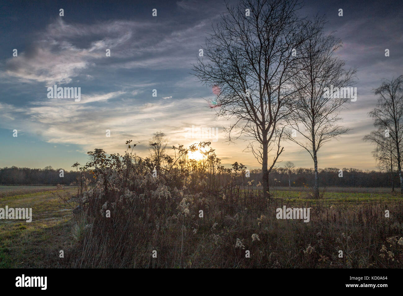 Beautiful colorful countryside sunset Stock Photo - Alamy