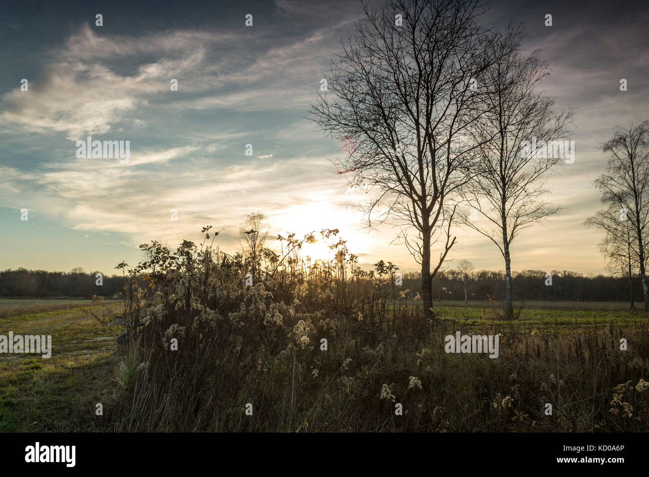 Beautiful colorful countryside sunset Stock Photo - Alamy