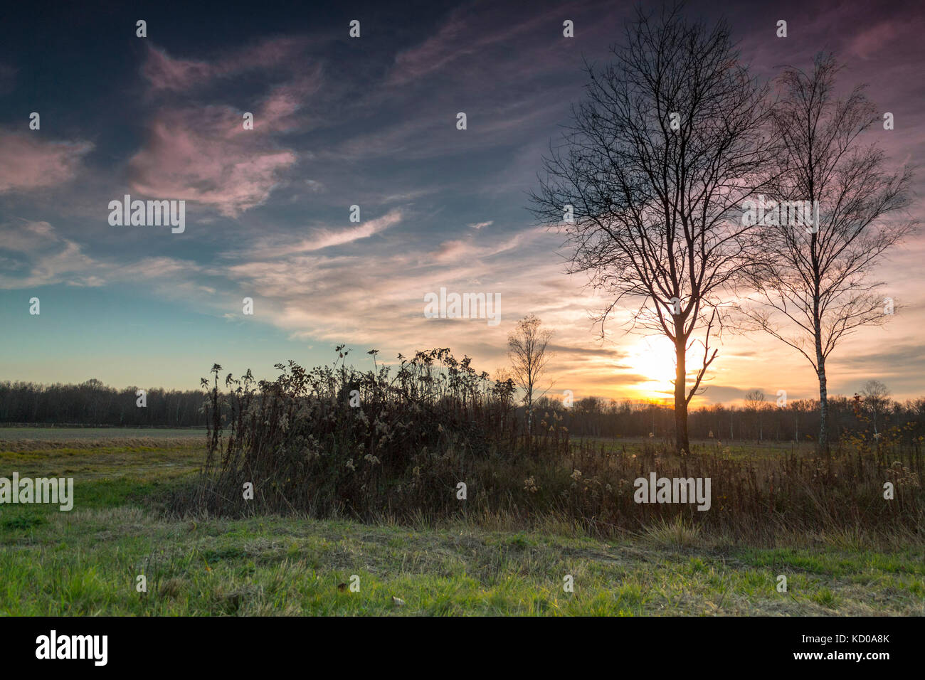 Beautiful colorful countryside sunset Stock Photo - Alamy