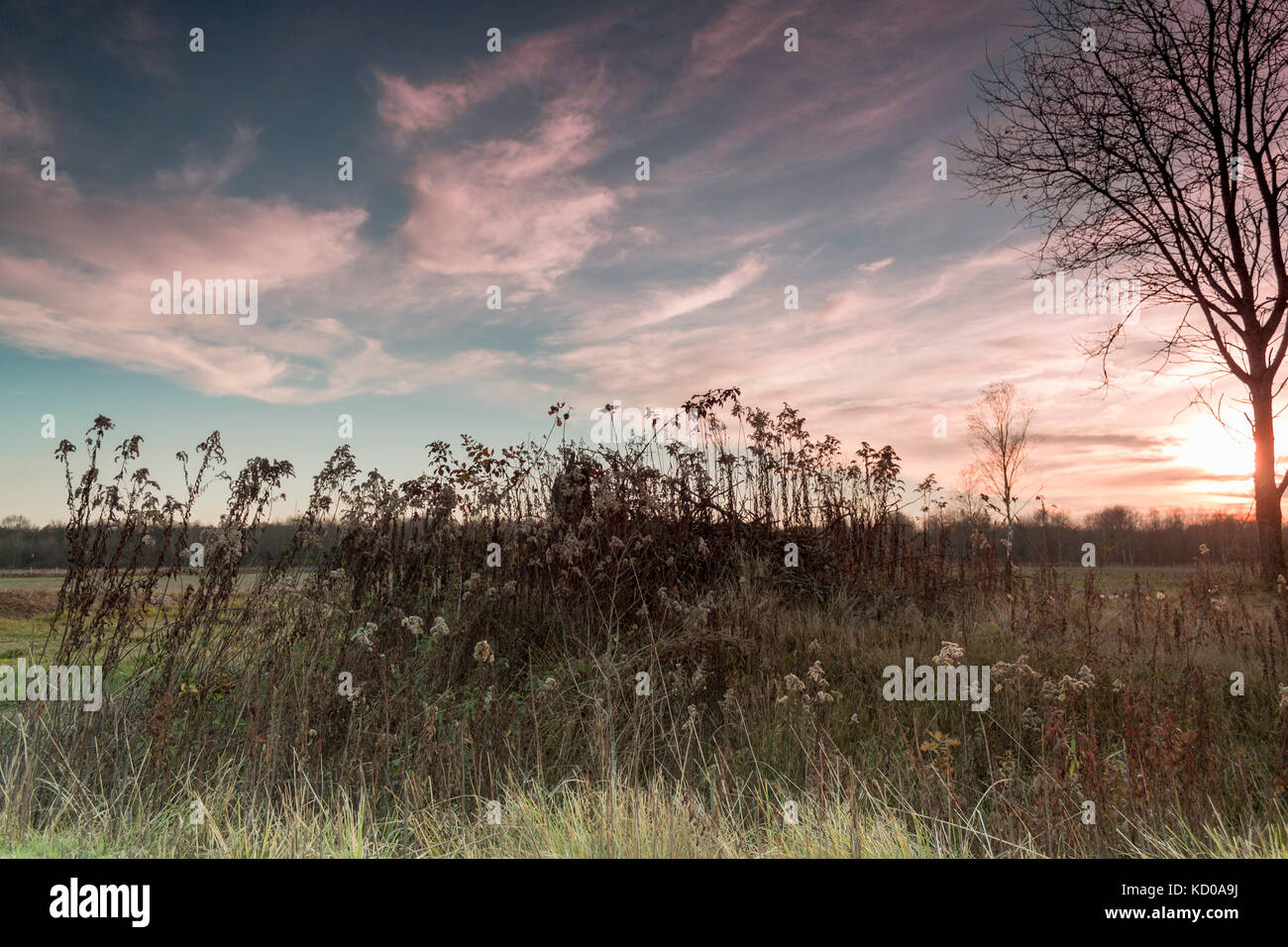 Beautiful colorful countryside sunset Stock Photo - Alamy
