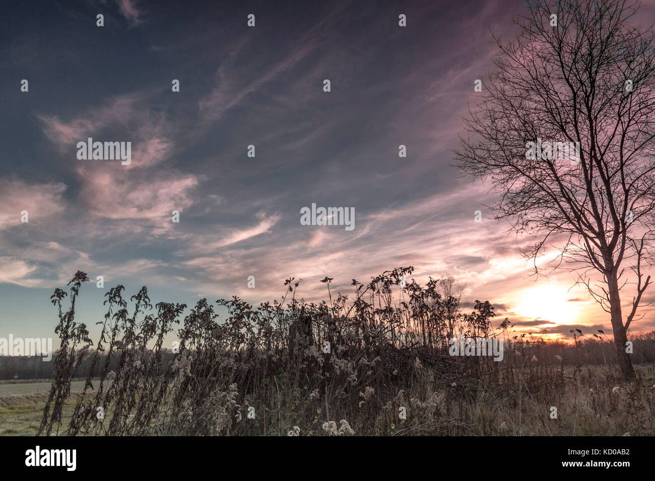 Beautiful colorful countryside sunset Stock Photo - Alamy