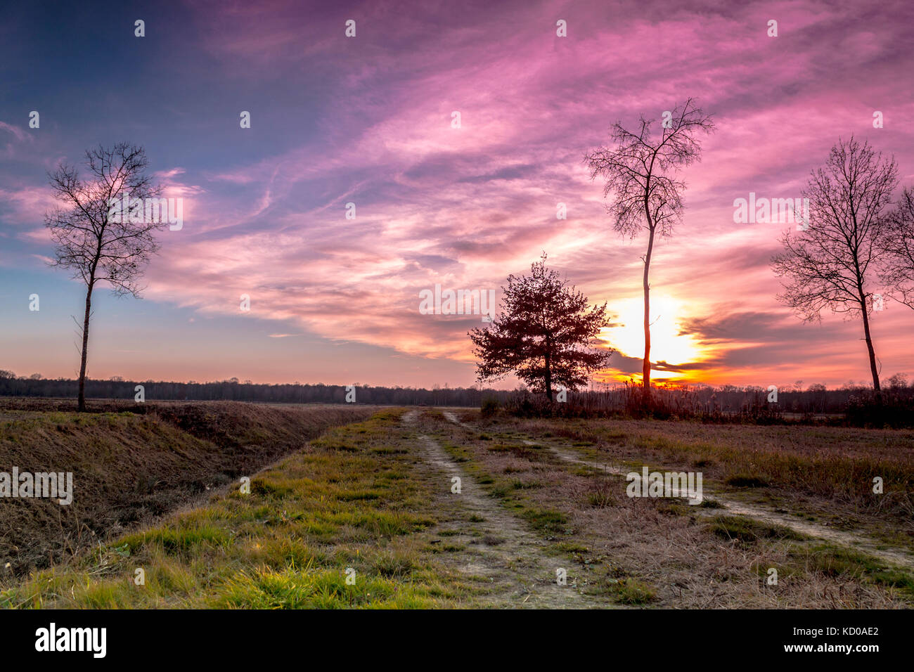 Beautiful colorful countryside sunset Stock Photo - Alamy