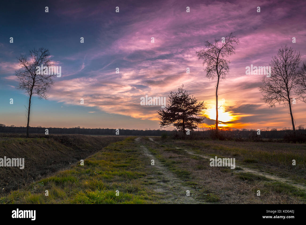 Beautiful colorful countryside sunset Stock Photo - Alamy