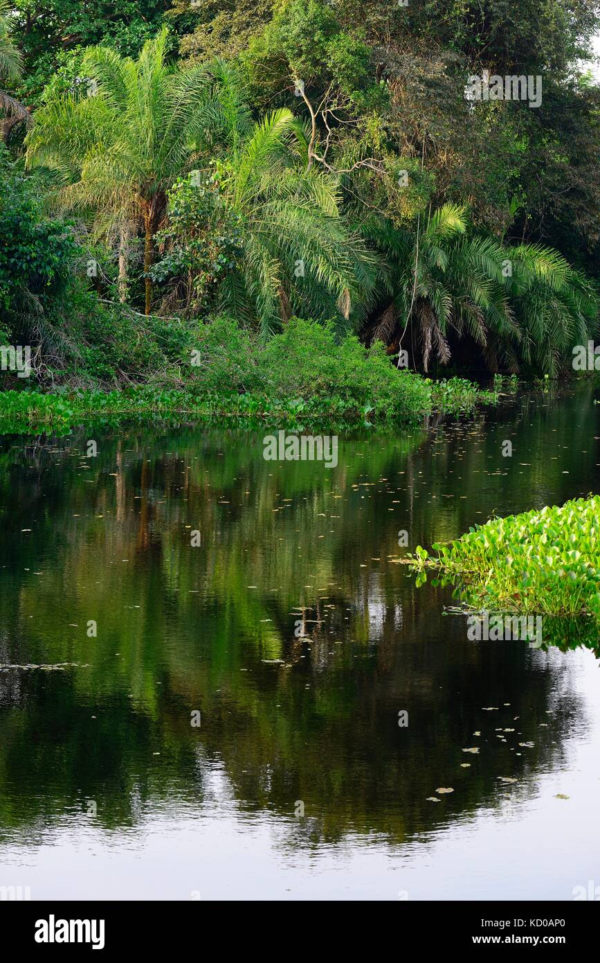 Rio miranda hi-res stock photography and images - Alamy