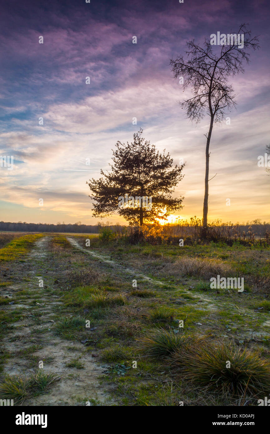 Beautiful colorful countryside sunset Stock Photo - Alamy