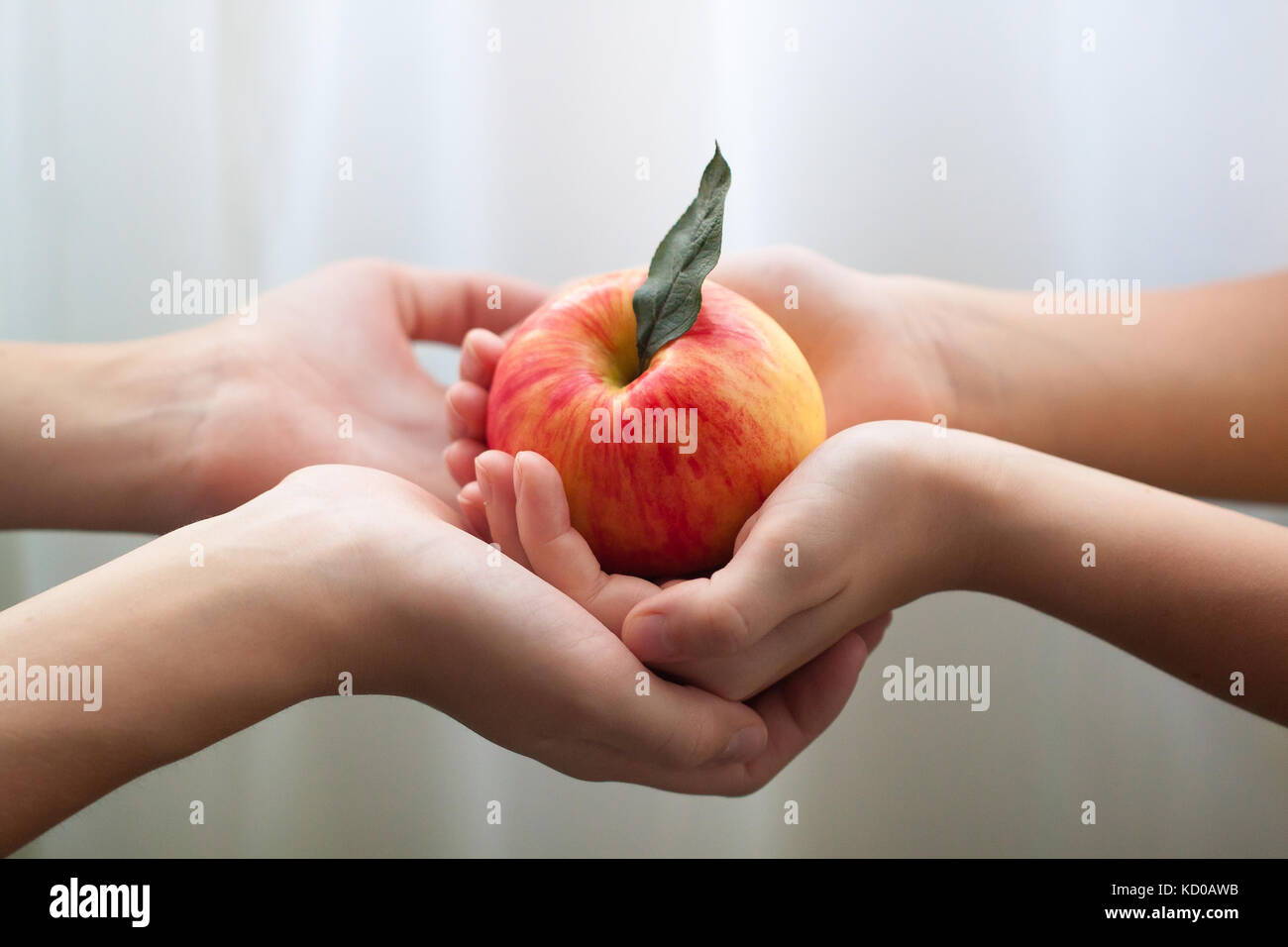 Apple of Friendship, Peace and Love in the children's hands Stock Photo ...