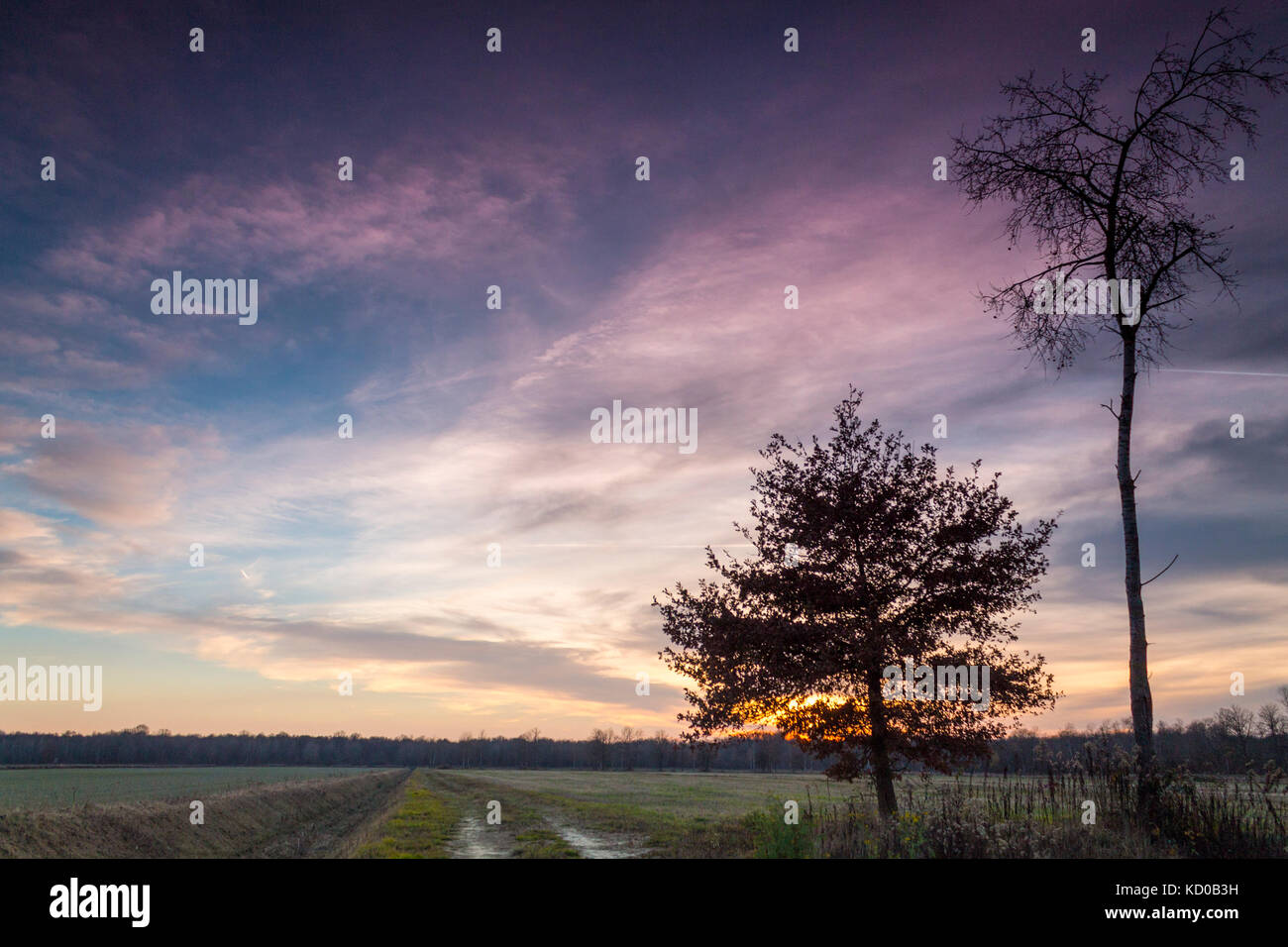 Beautiful colorful countryside sunset Stock Photo - Alamy