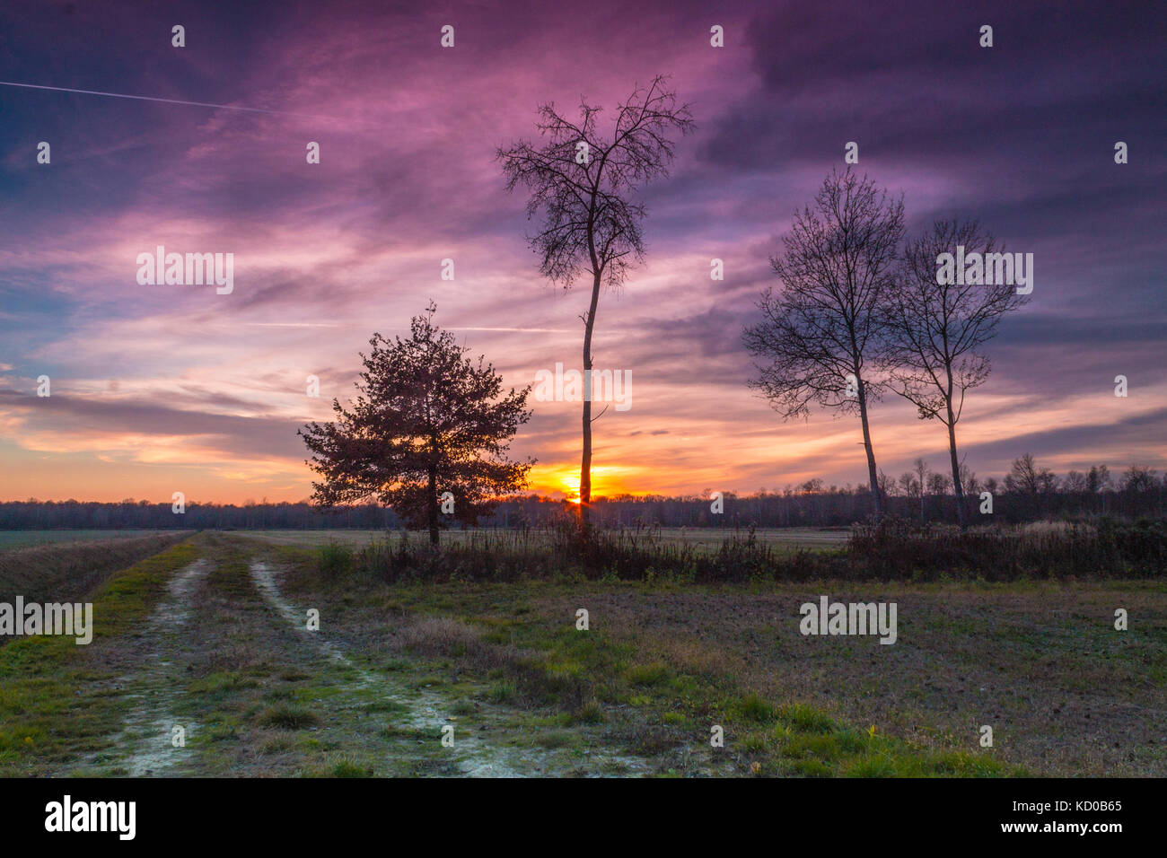 Beautiful colorful countryside sunset Stock Photo - Alamy