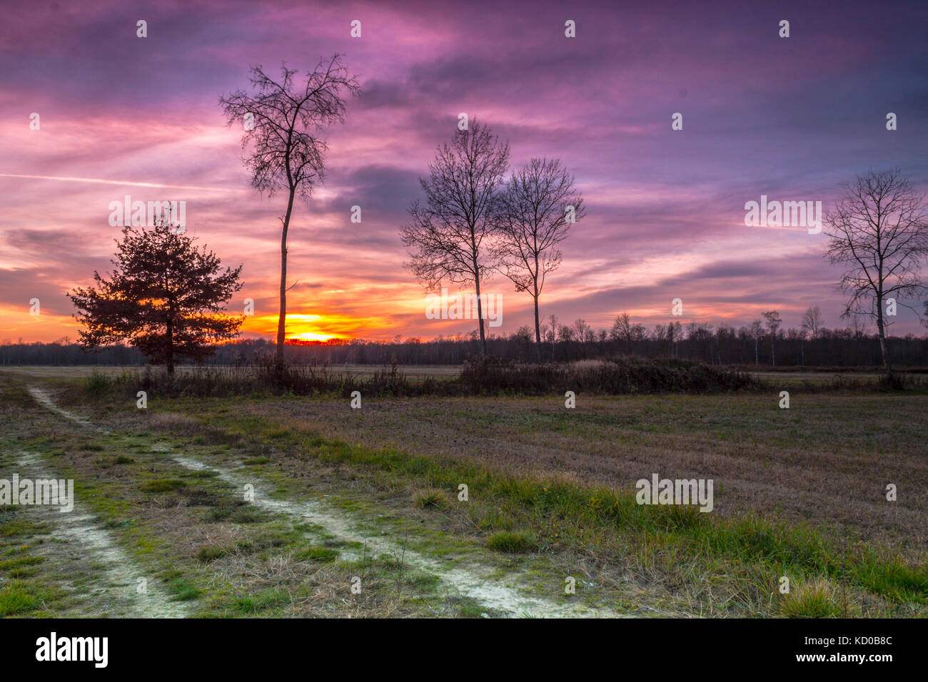 Beautiful colorful countryside sunset Stock Photo - Alamy