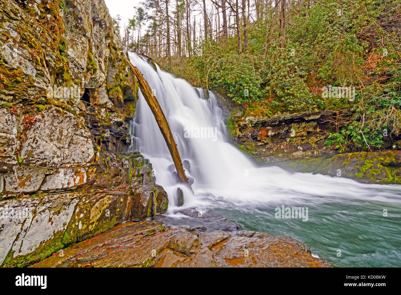 Abrams falls in great smoky mountains hi-res stock photography and ...