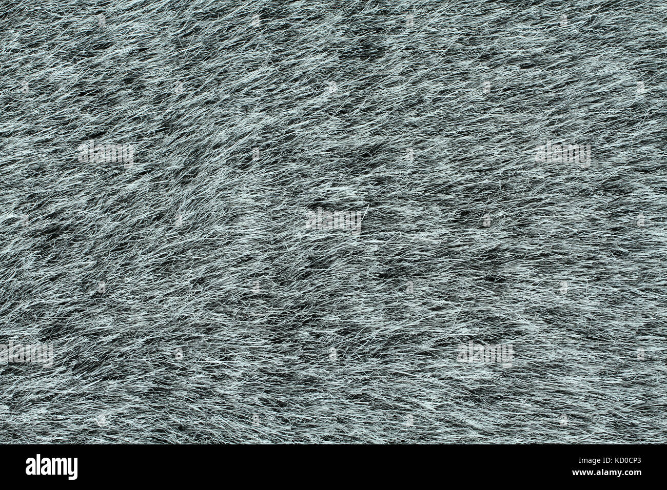 Plain gray hi-res stock photography and images - Alamy