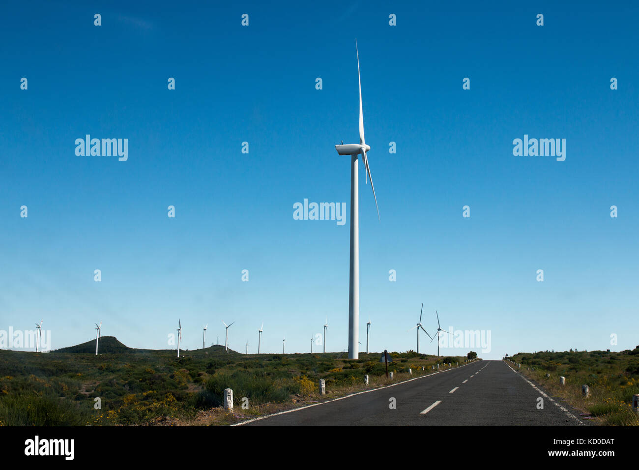 Road wind turbines madeira hi-res stock photography and images - Alamy