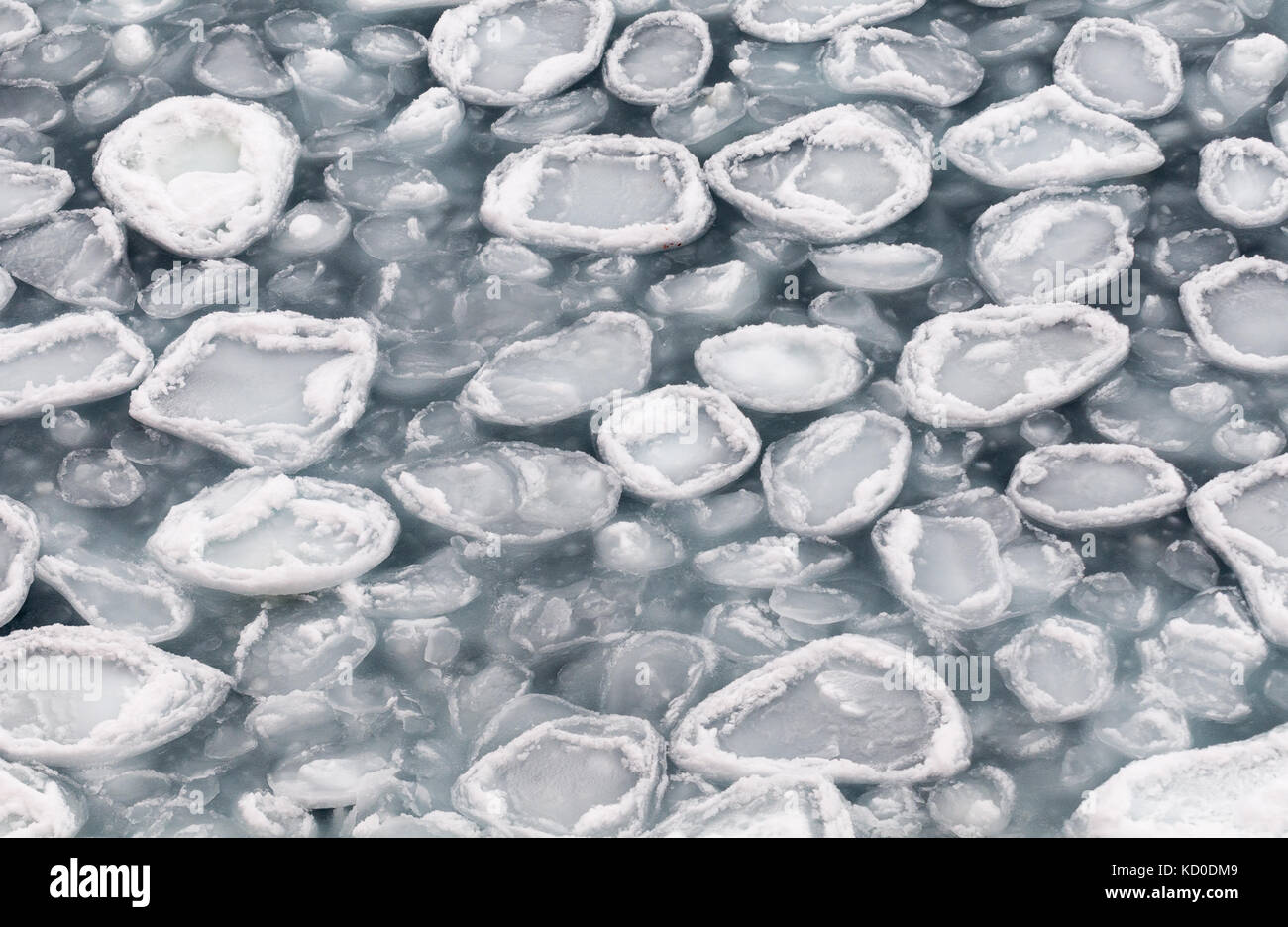 Pancake ice antarctica hi-res stock photography and images - Alamy