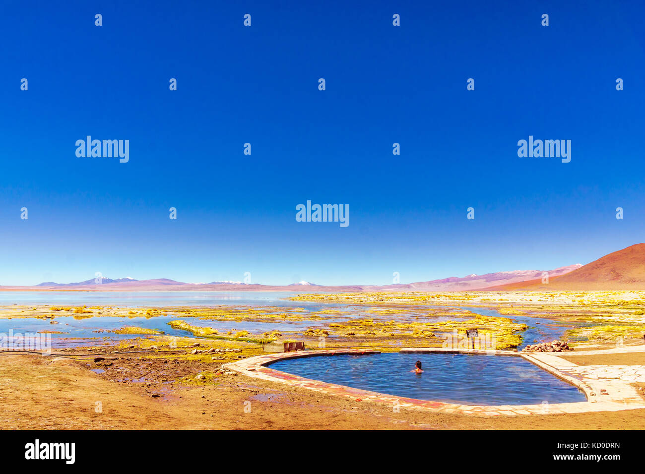 View on hot spring pool in the Altiplano by Unyuni in Bolivia Stock ...