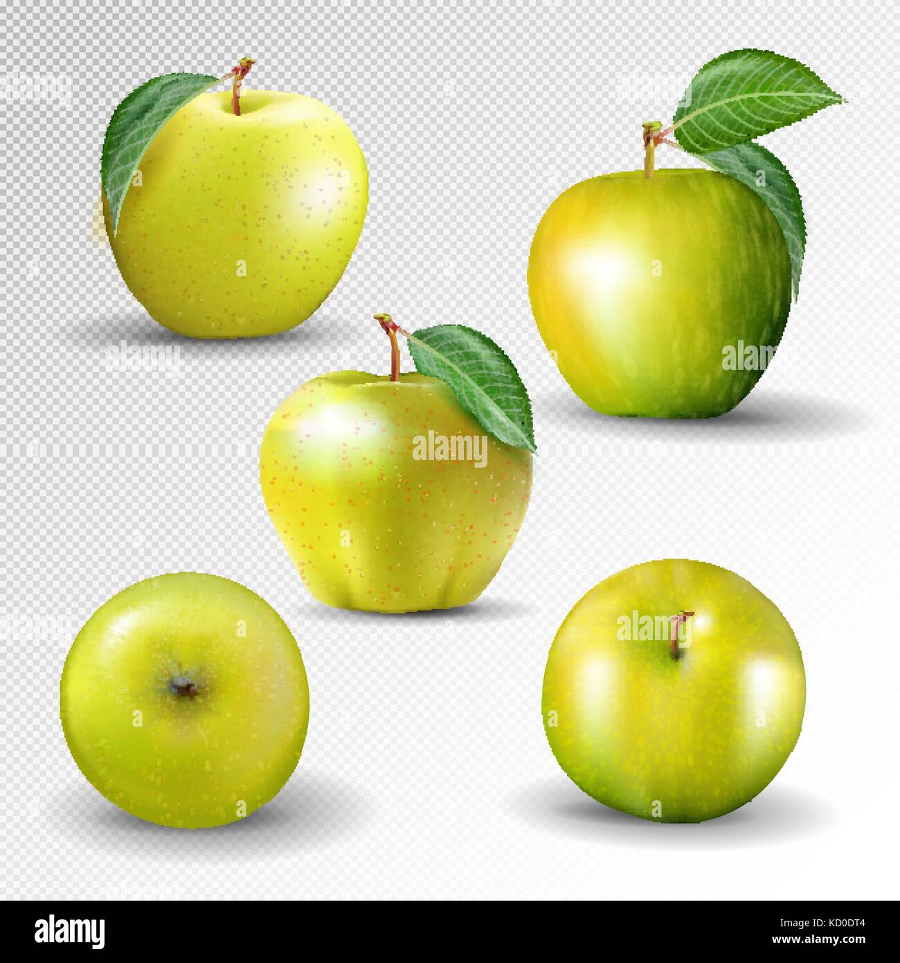 Yellow apple collection. Set of fruits and leaf isolated on white ...