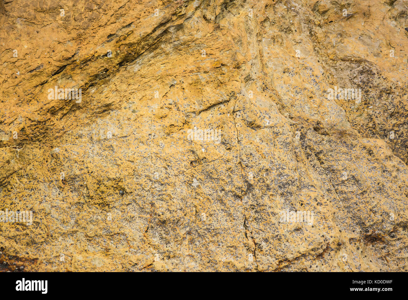 surface of stone Stock Photo - Alamy