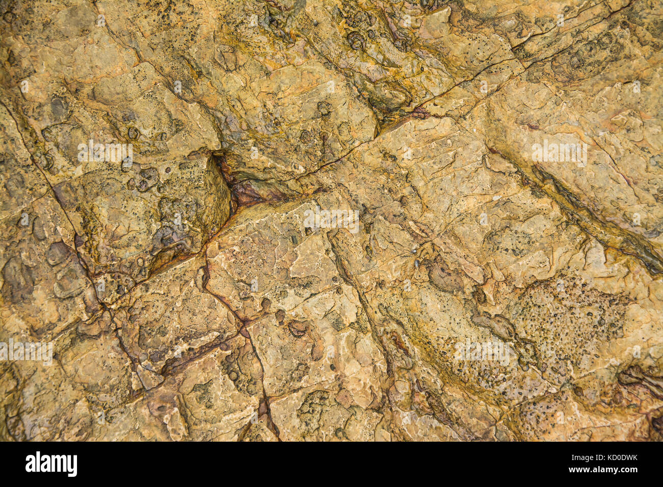surface of stone Stock Photo - Alamy