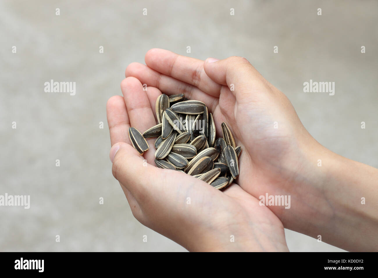 Close up of Sunflower seeds in hand isolated Stock Photo - Alamy