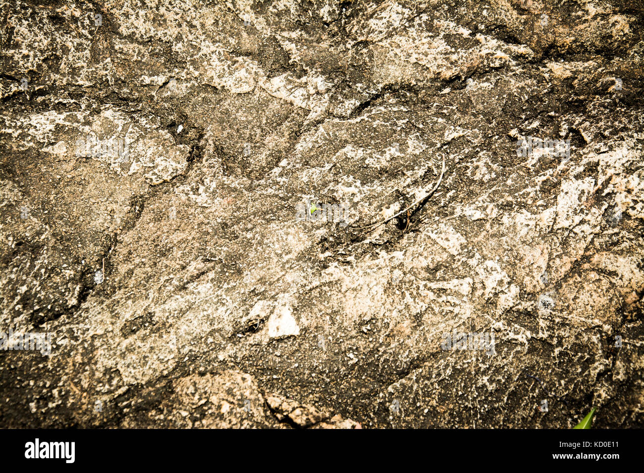 surface of stone Stock Photo - Alamy