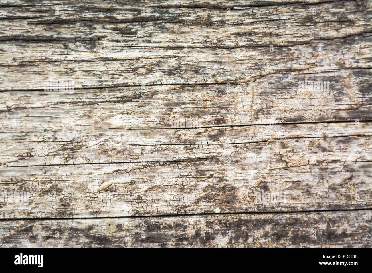 close up of old wood texture background Stock Photo - Alamy