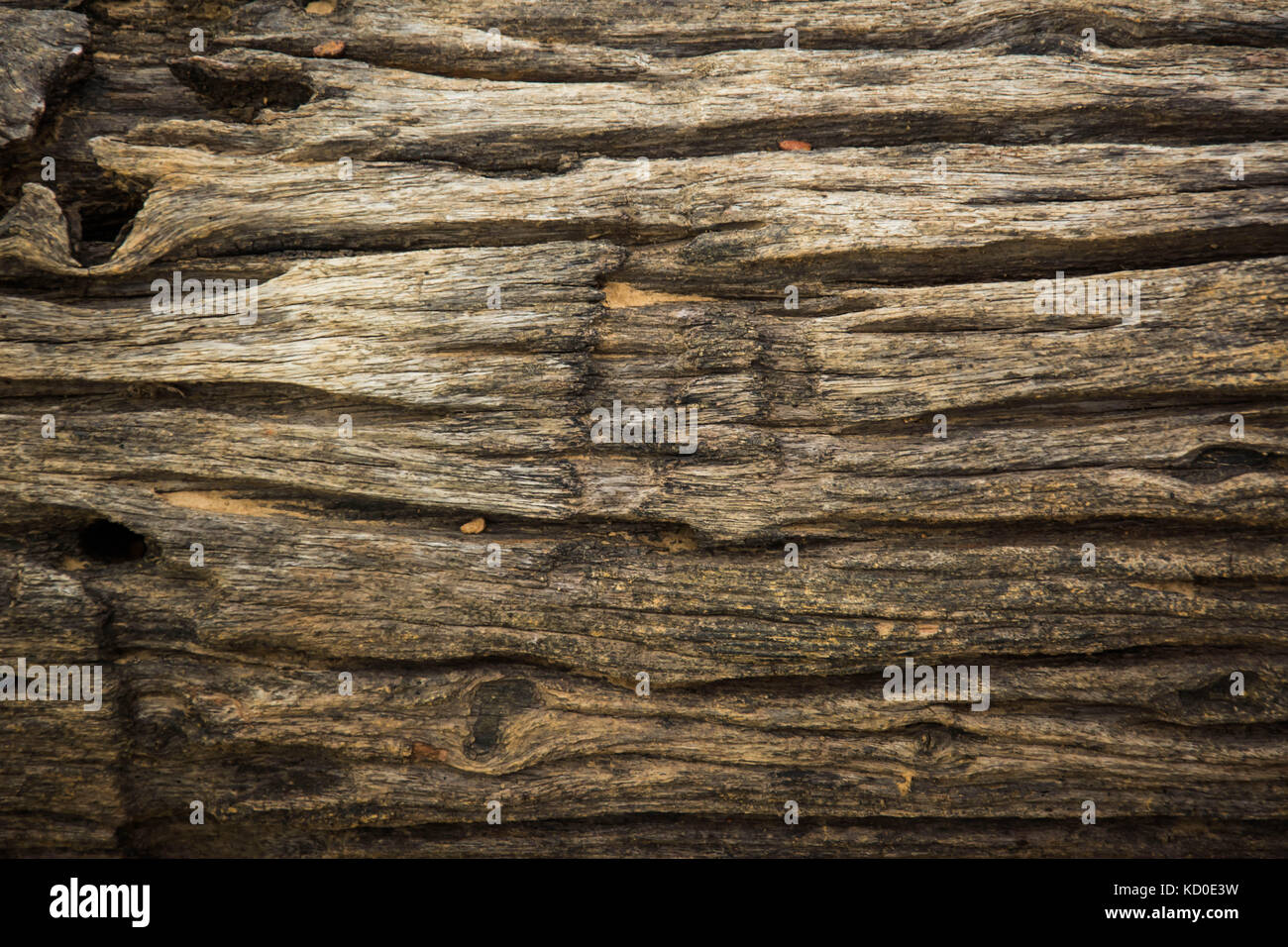 close up of old wood texture background Stock Photo - Alamy