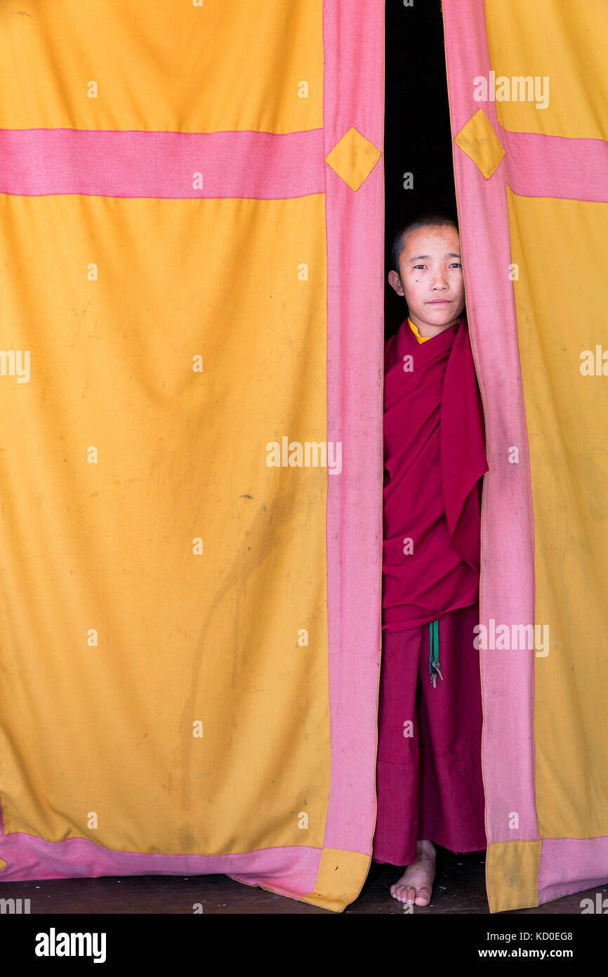 Young monk looking out from behind a curtain, Amitabha Monastery ...