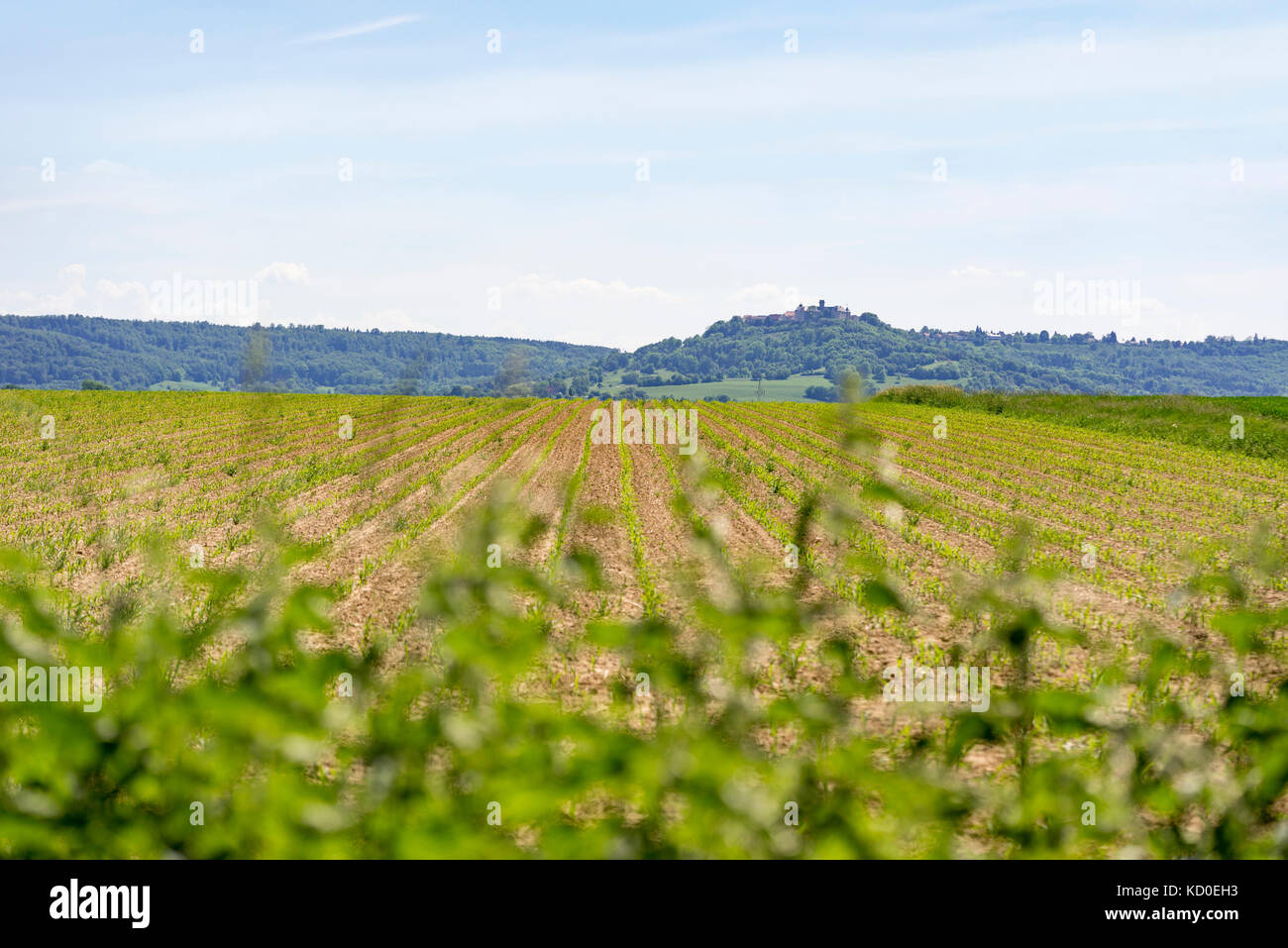 idyllic rural landscape at spring time in Hohenlohe, a district in ...