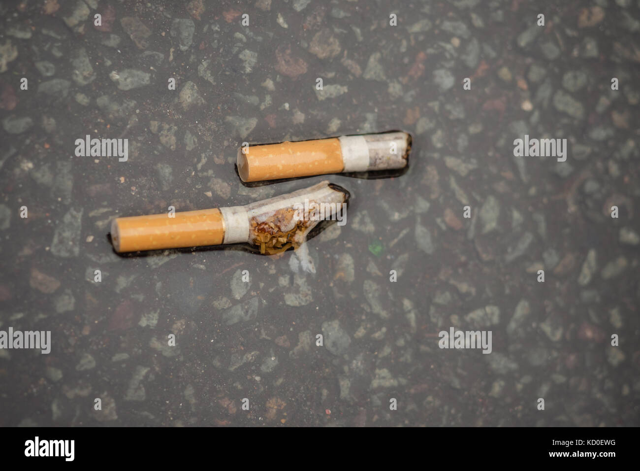 Wet Cigarettes High Resolution Stock Photography and Images - Alamy