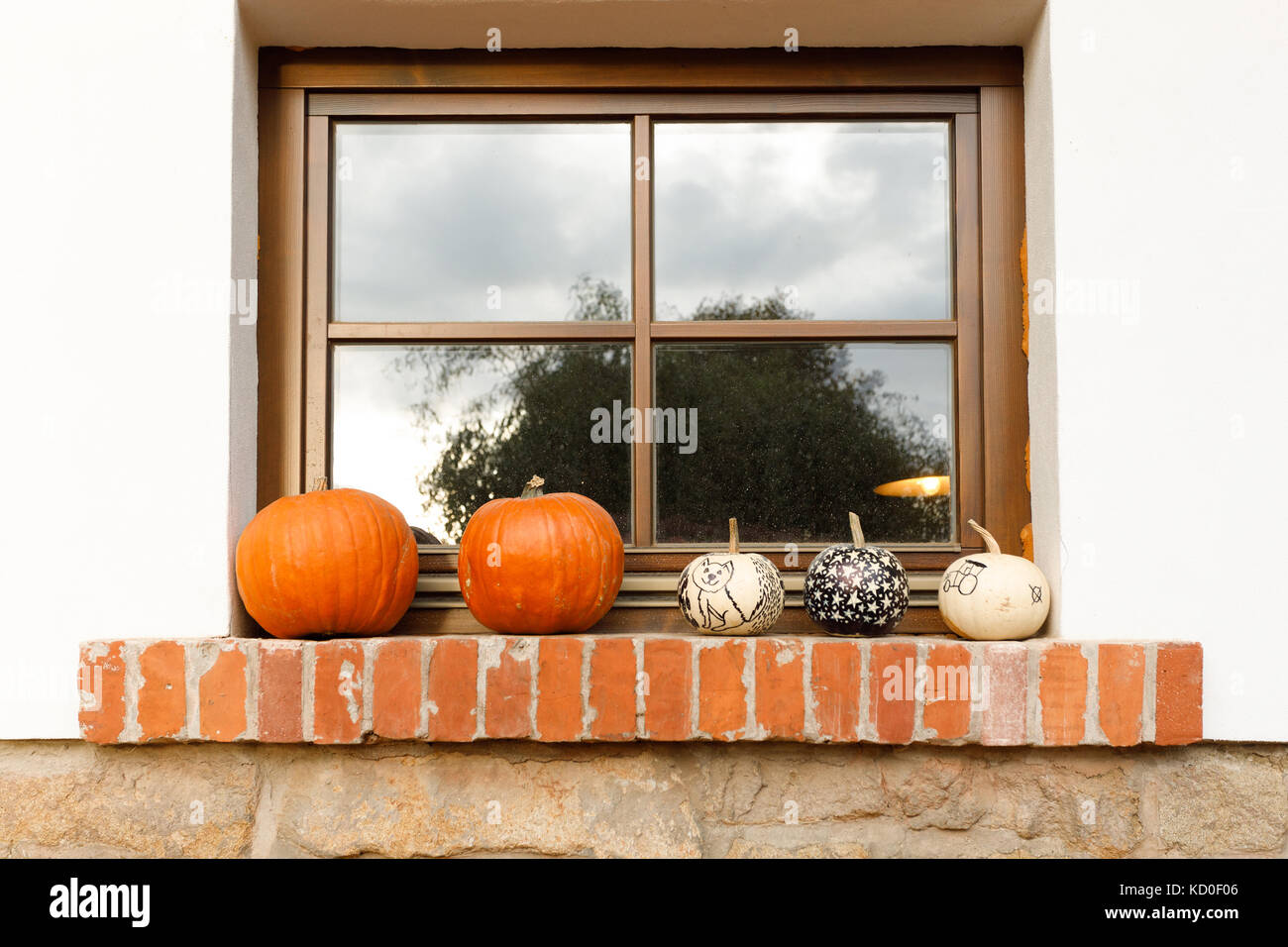 Autumn harvested pumpkins arranged on window in farm. Halloween holiday ...