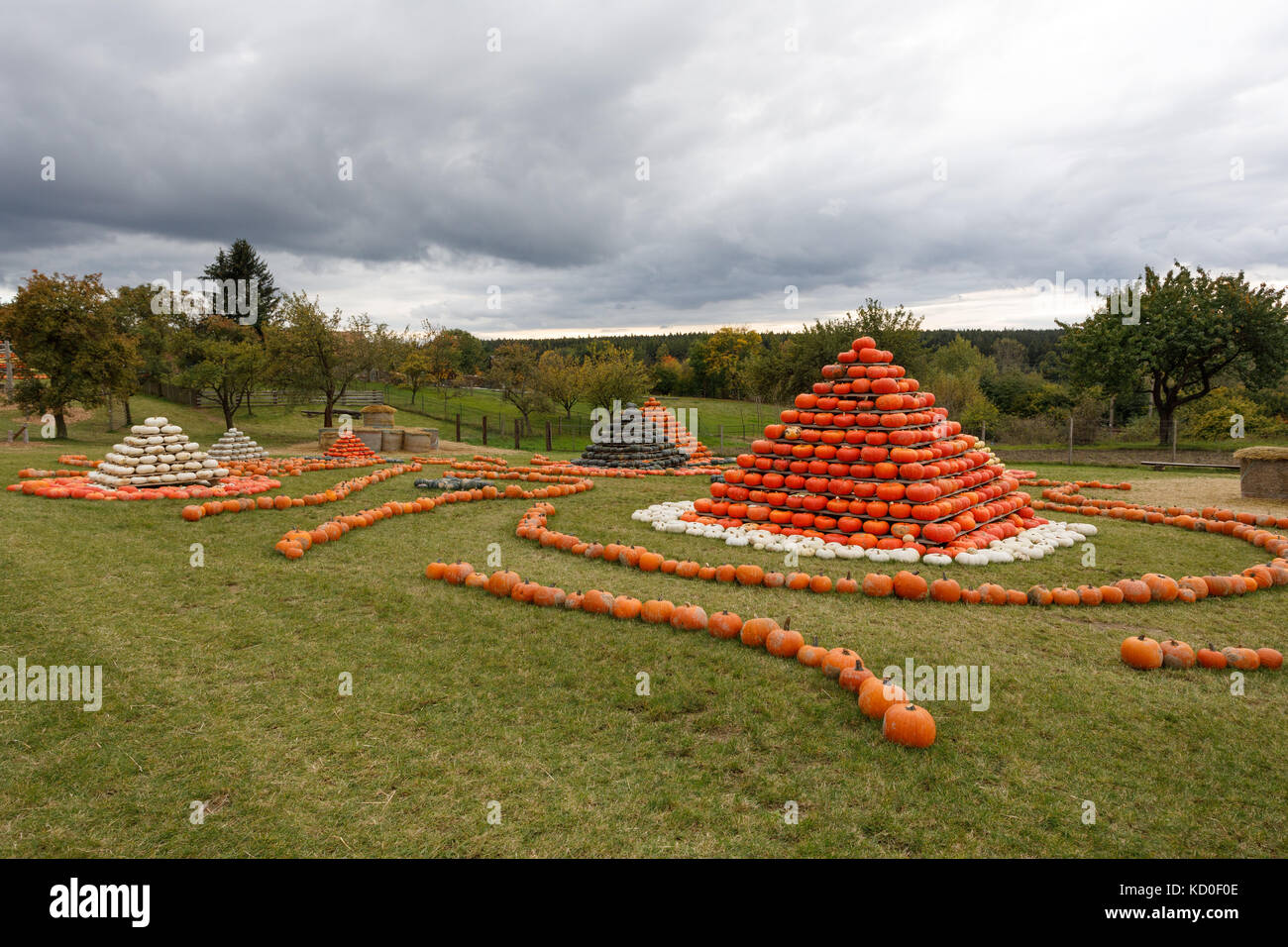 Autumn harvested pumpkins arranged for fun like pyramid with color ...