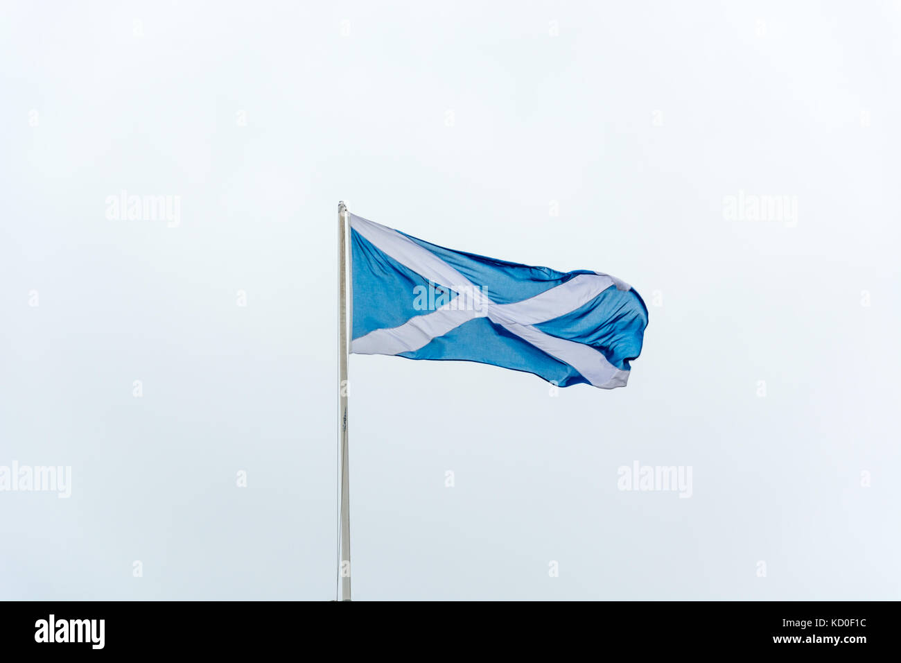 The flag of Scotland waving on a pole isolated Stock Photo - Alamy