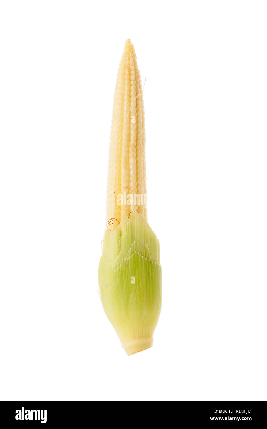 front view baby corn isolated on white background Stock Photo - Alamy