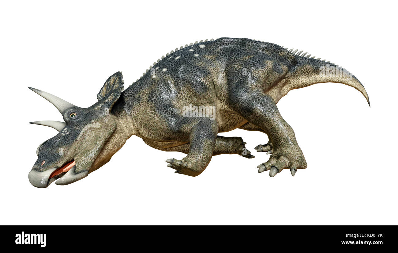 3D rendering of a dinosaur Diceratops isolated on white background ...