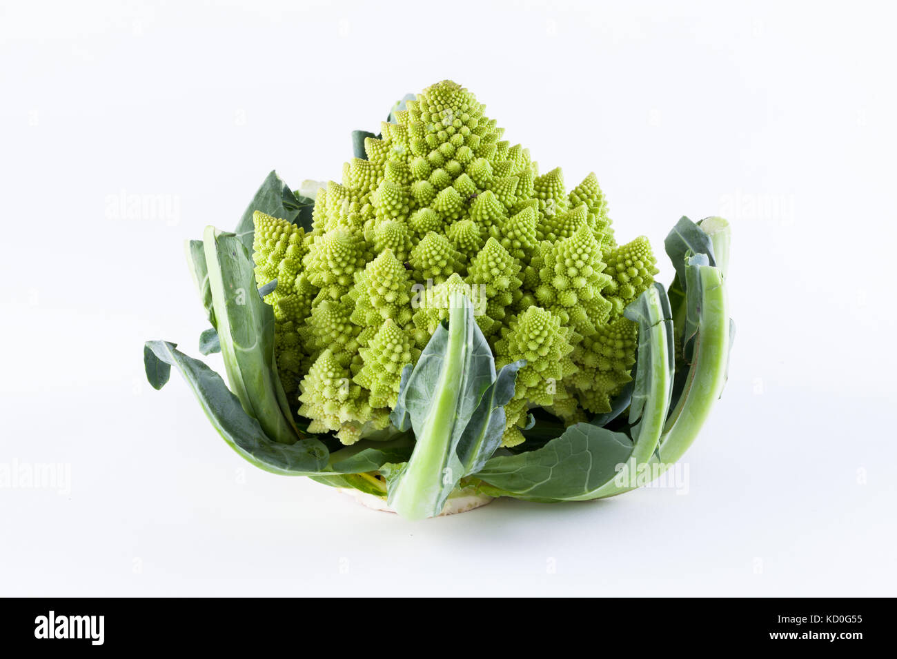 Romanesco broccoli vegetable represents a natural fractal pattern and ...
