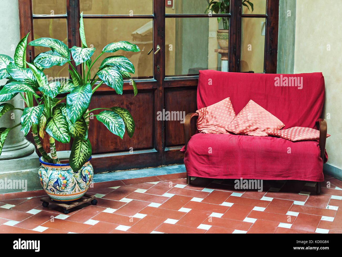 Vintage stylish couch with pillows and potted ficus plant in flower pot ...